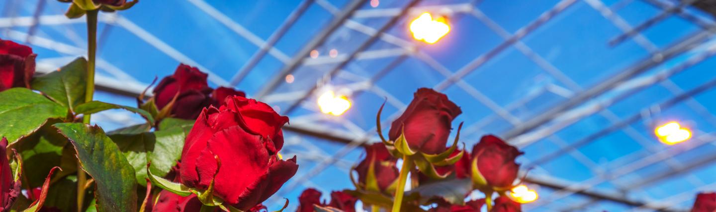 Welkom - Eurofins Agro