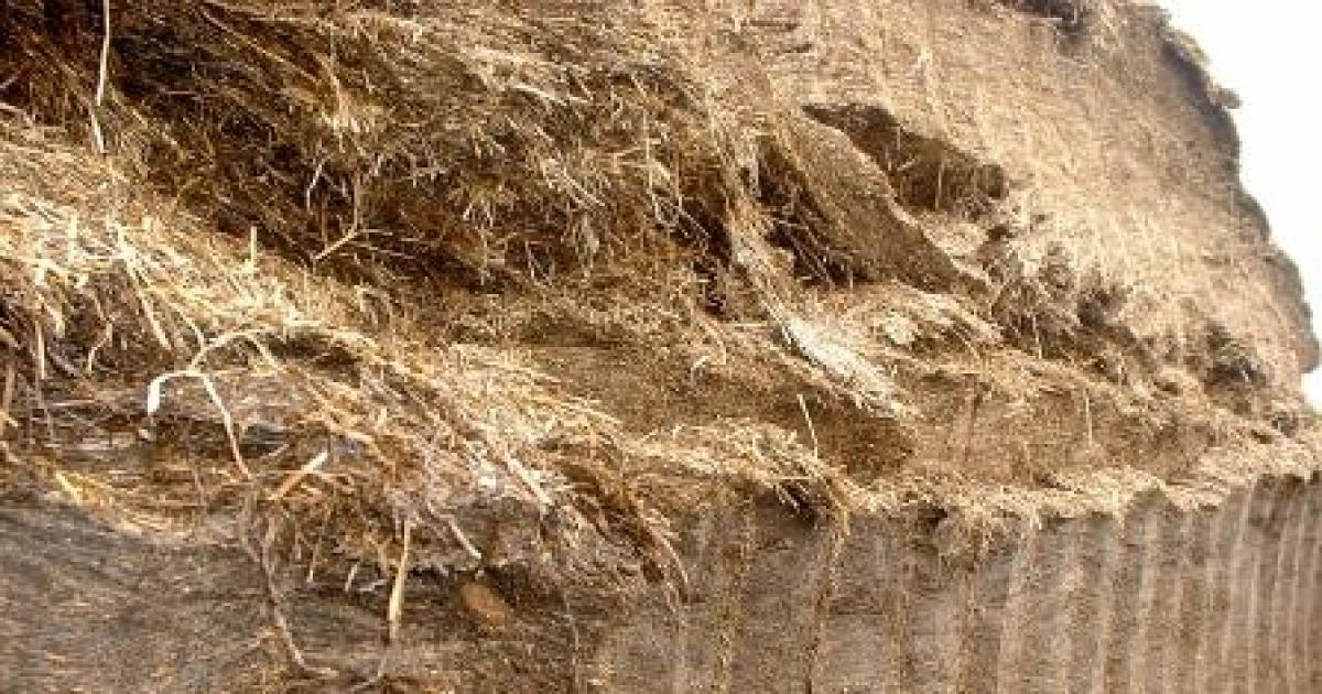 Drogestofgehalte in voorjaarskuilen daalt - Eurofins Agro
