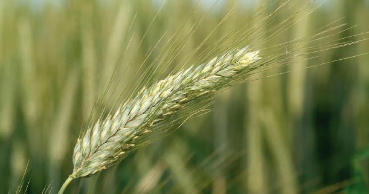 Acquiring SGS’ Crop Science operations - Eurofins Agro