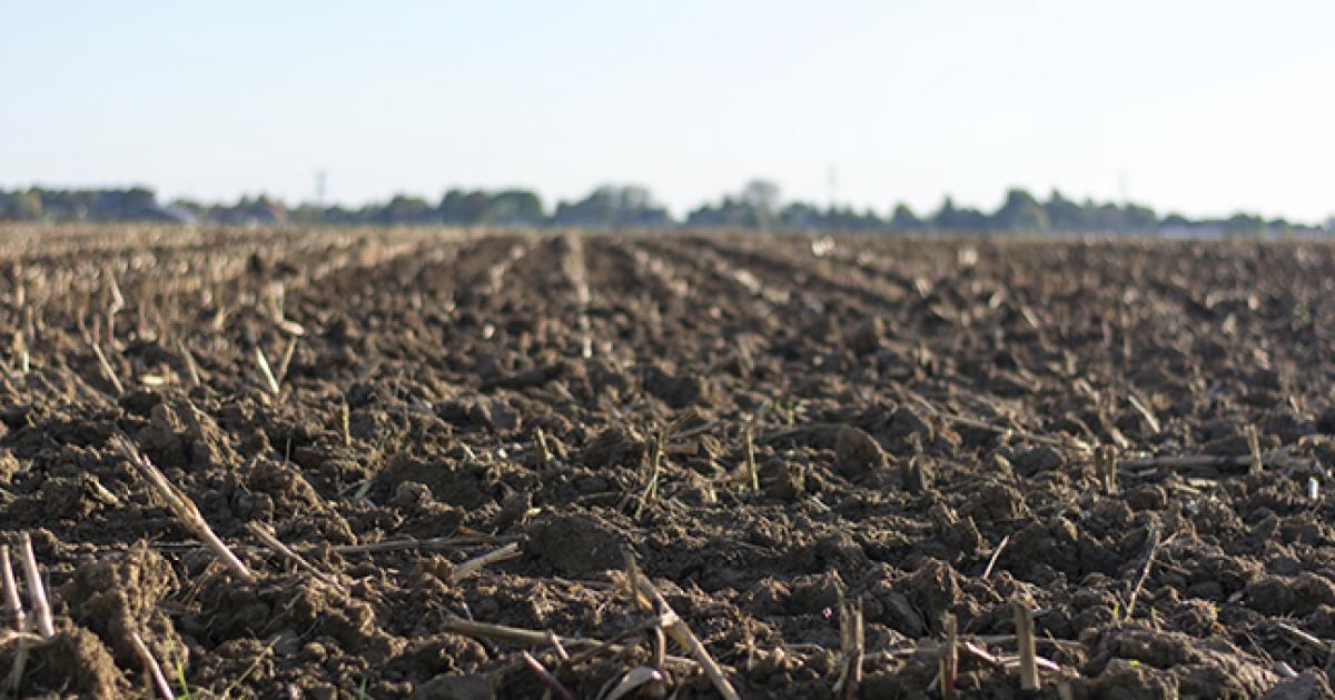 Healthy soil: towards a factual analysis. - Eurofins Agro