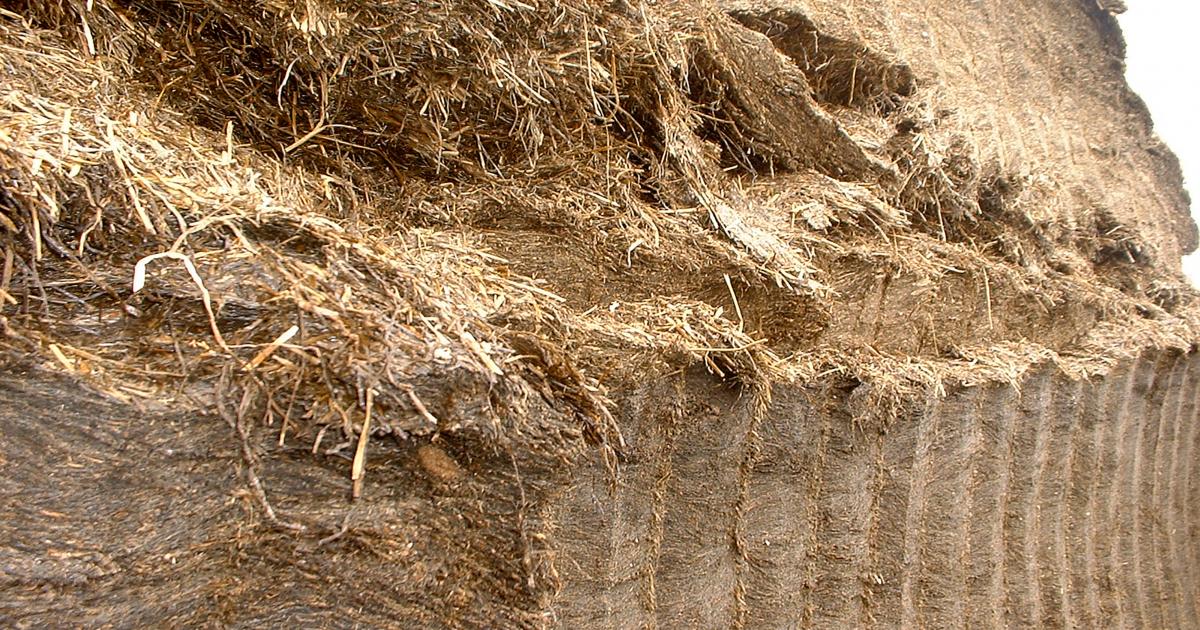 Jaaroverzicht kuilgras 2019 - Eurofins Agro