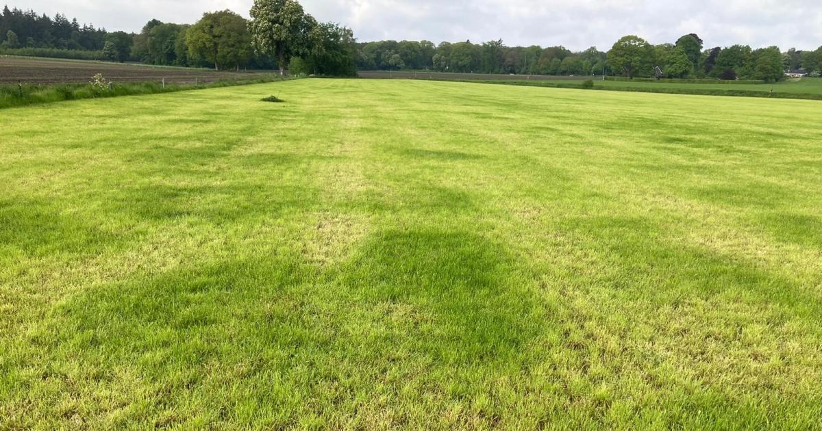 Nematodes in grassland and maize often underestimated - Eurofins Agro