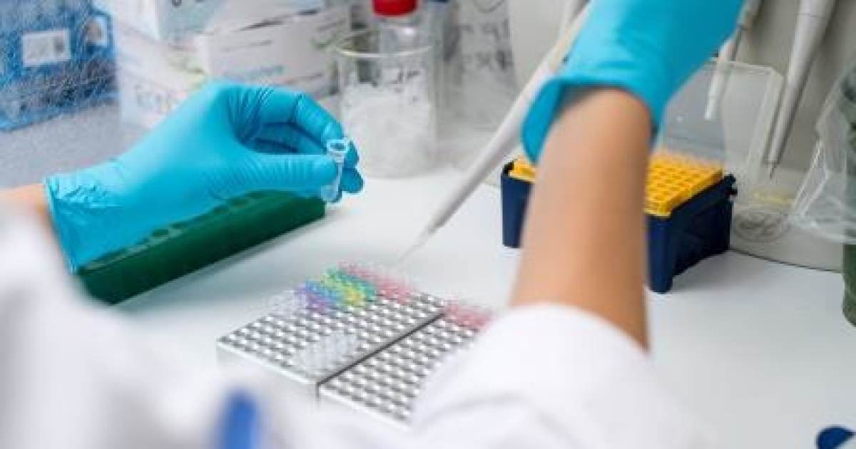 DNA Multiscan – Snabb upptäckt av patogener - Eurofins Agro