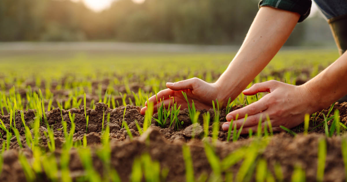 Grundanalyser av jord – Bestäm näringsstatus och pH - Eurofins Agro
