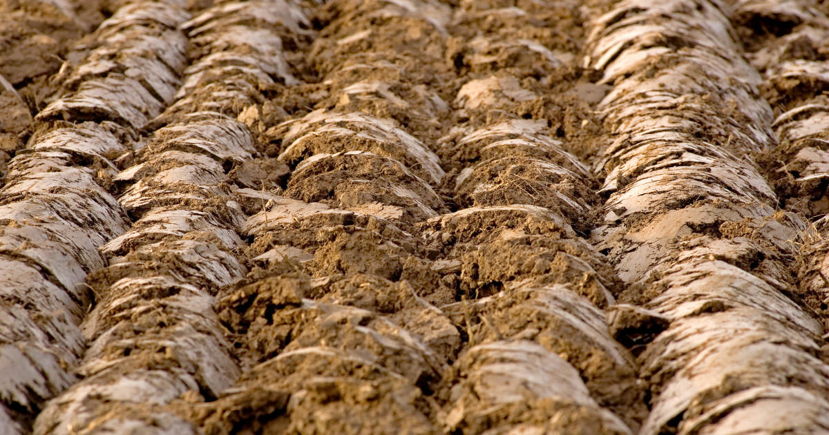 Routine Soil Analysis - Eurofins Agro