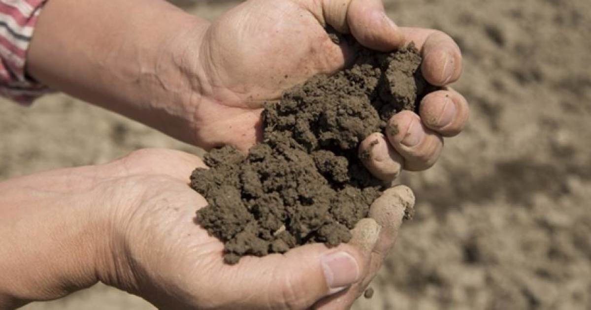 Viticulture soil analysis - Eurofins Agro