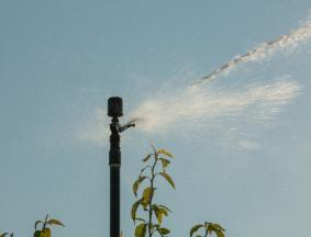 Irrigation water Check - Eurofins Agro