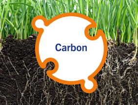 Soil Carbon Check - Eurofins Agro