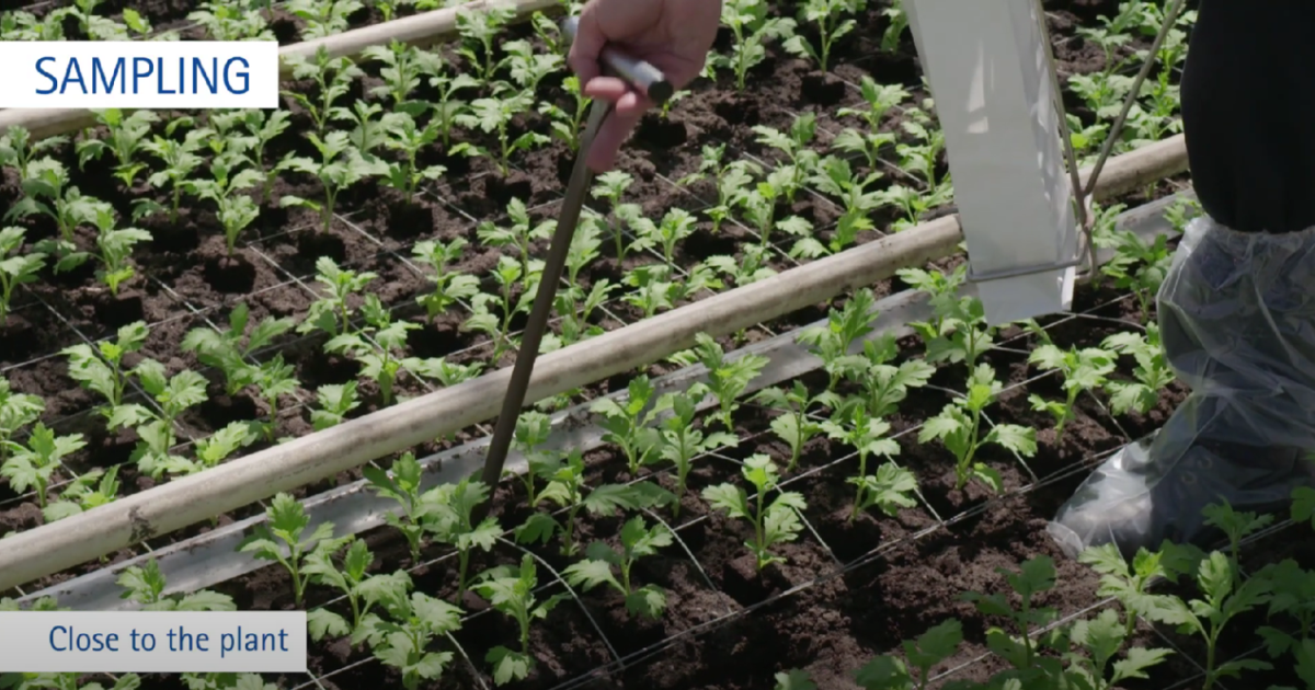 How to take a greenhouse soil sample - Eurofins Agro